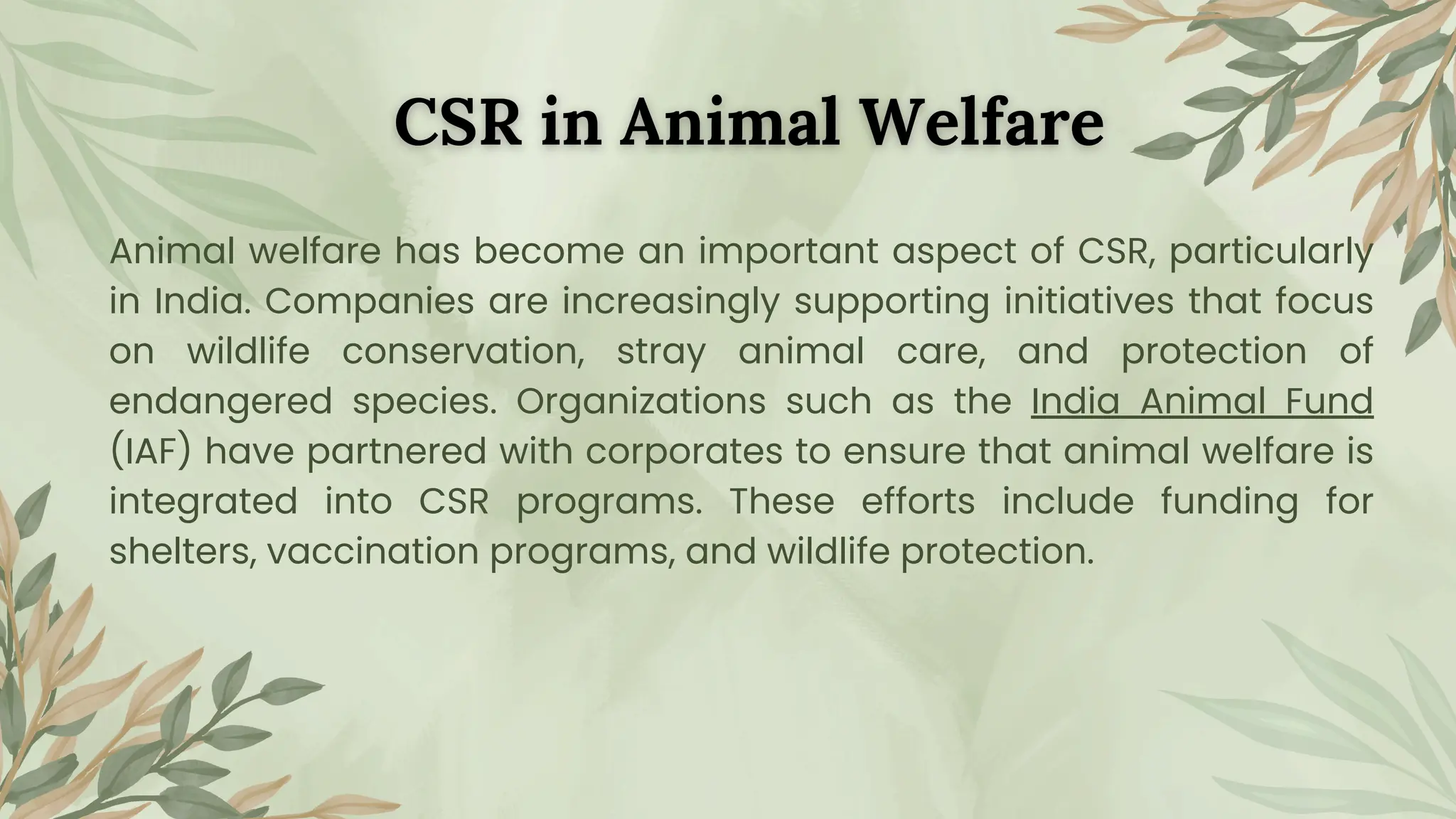 Corporate Social Responsibility - India Animal Fund | PDF