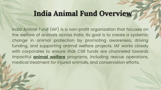 Corporate Social Responsibility - India Animal Fund | PDF