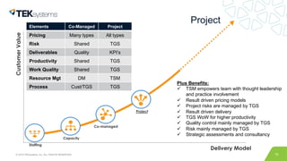 TEKSystems Global Services Netherlands | PDF