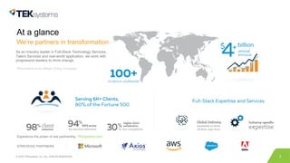 TEKSystems Global Services Netherlands | PDF