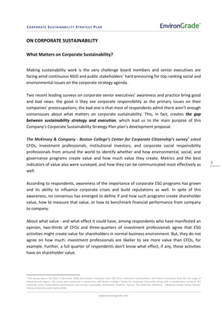 Corporate Sustainability Strategy Plan | PDF