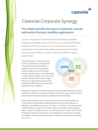 Corporate Synergy Datasheet 2009 | PDF