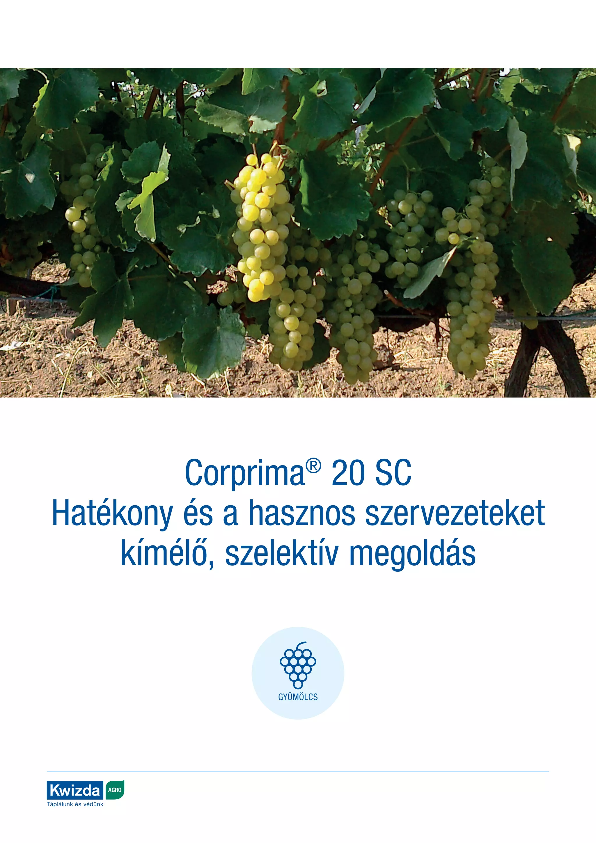 Corprima leaflet a4 02 web | PDF