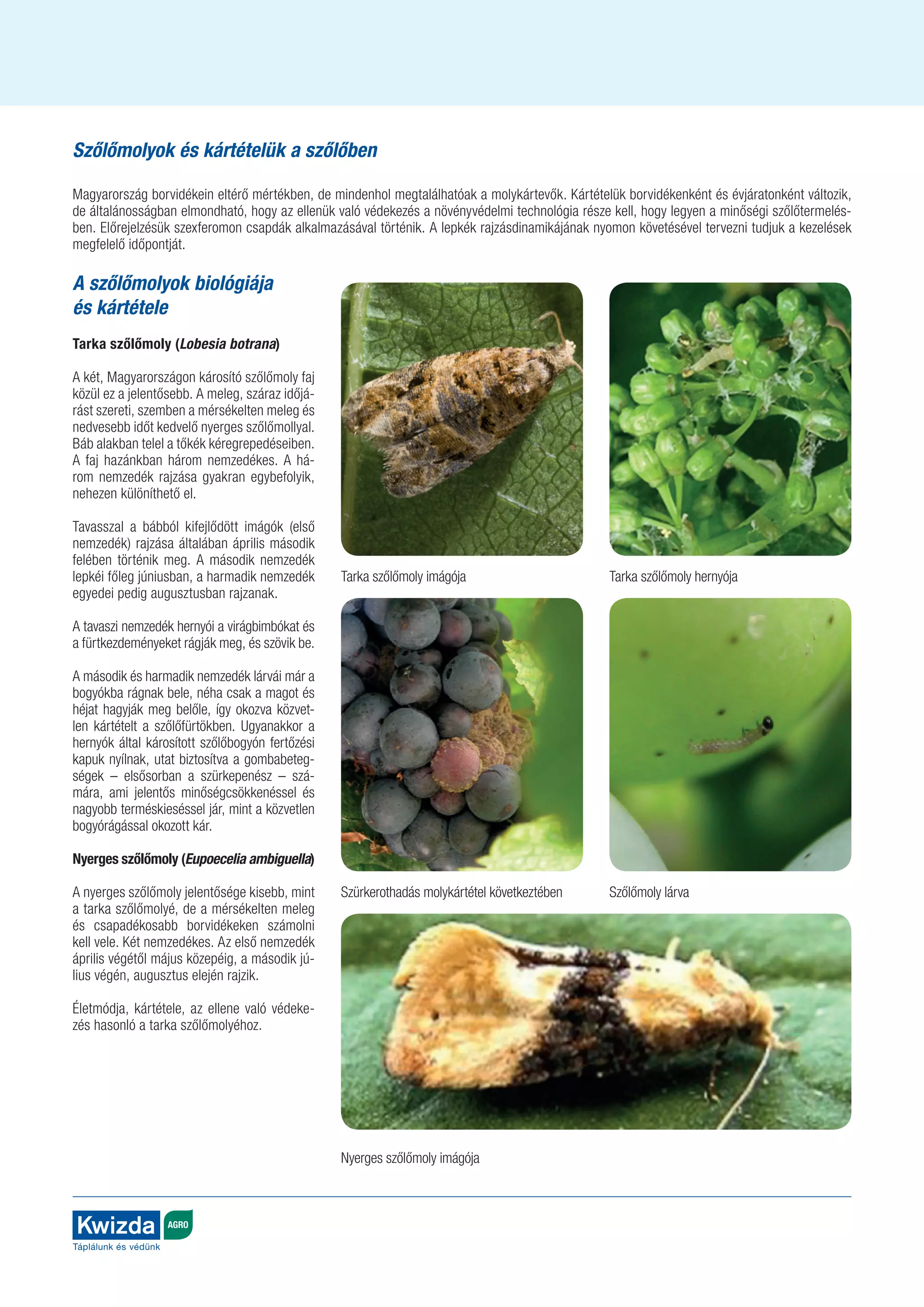 Corprima leaflet a4 02 web | PDF