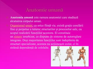corpul uman | PPTX