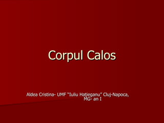 Corpul calos | PPT