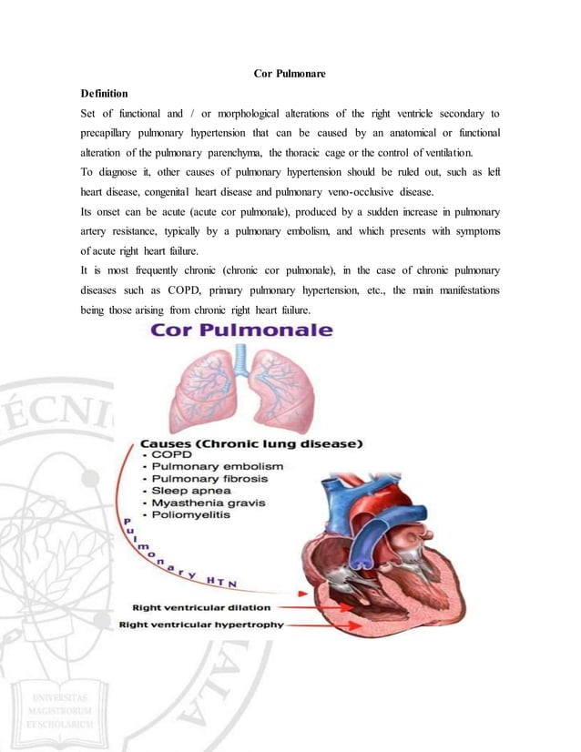 Cor pulmonare | DOCX | Lung and Respiratory Health | Diseases and ...