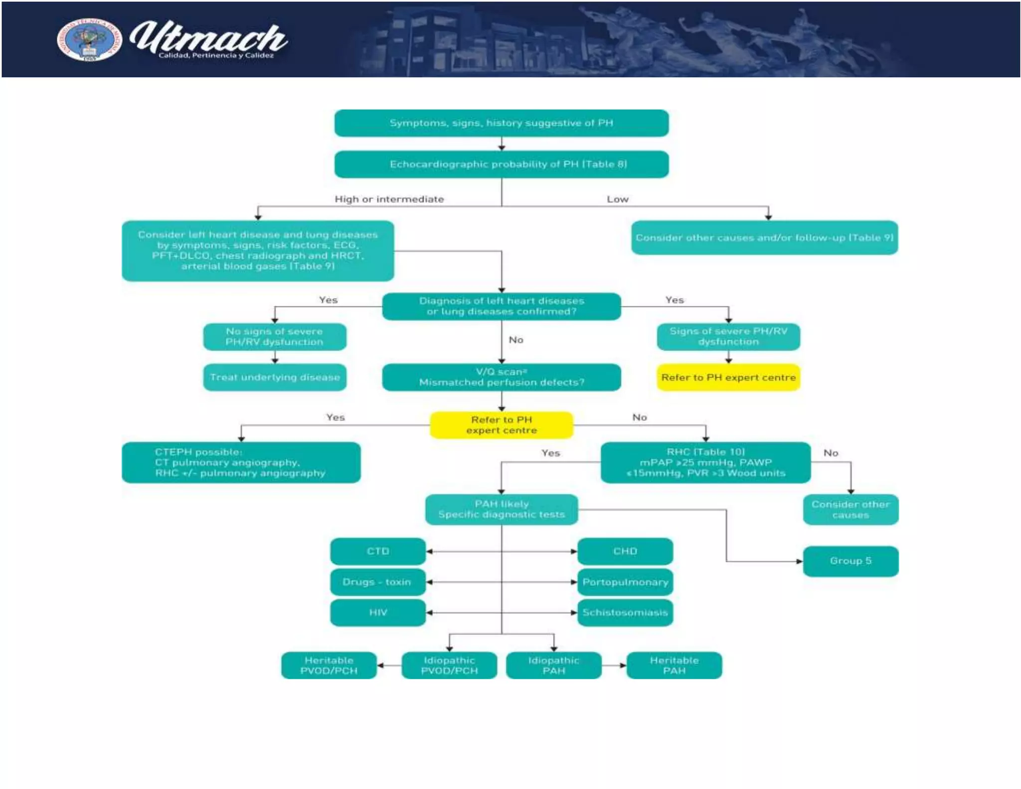 Cor Pulmonare Algorithm Ppt