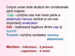 Corpul omenesc 2 | PPT