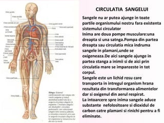 Corpul omenesc 2 | PPT