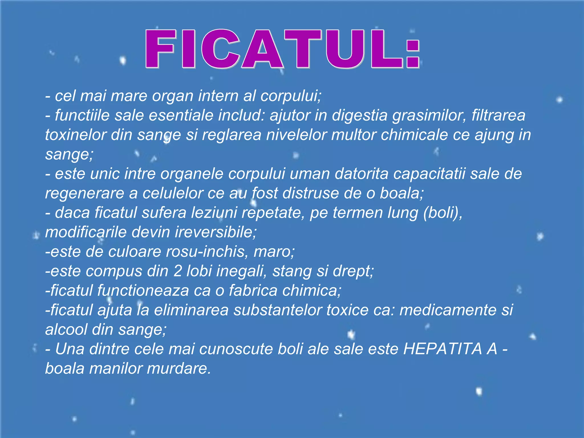 Corpul omenesc organe interne | PPT