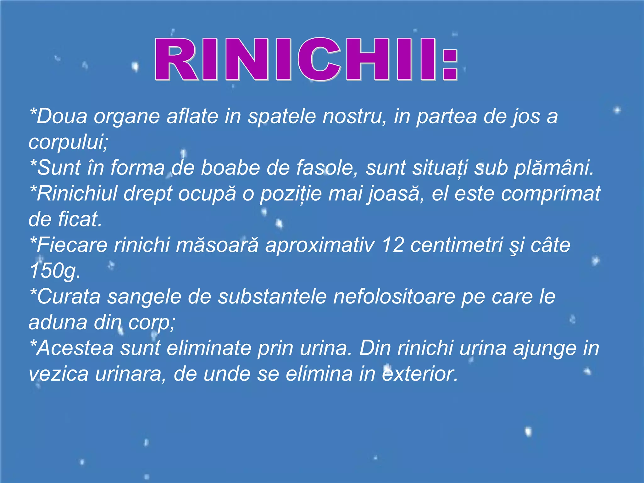 Corpul omenesc organe interne | PPT
