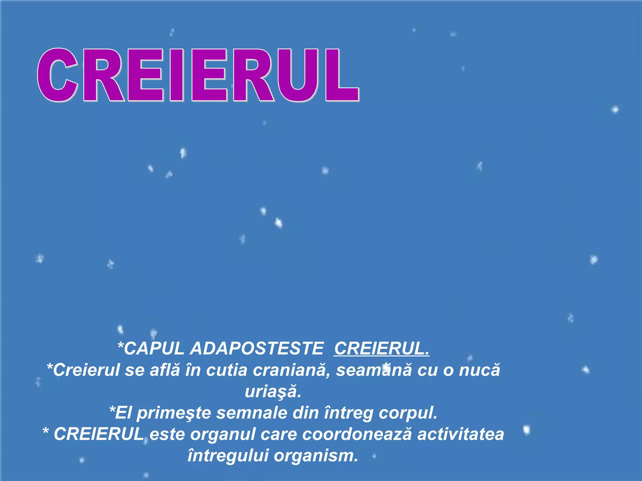 Corpul omenesc organe interne | PPT