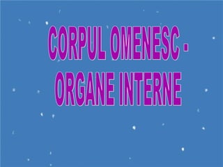 Corpul omenesc organe interne | PPT