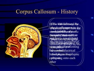 Corpus Callosum Infarct