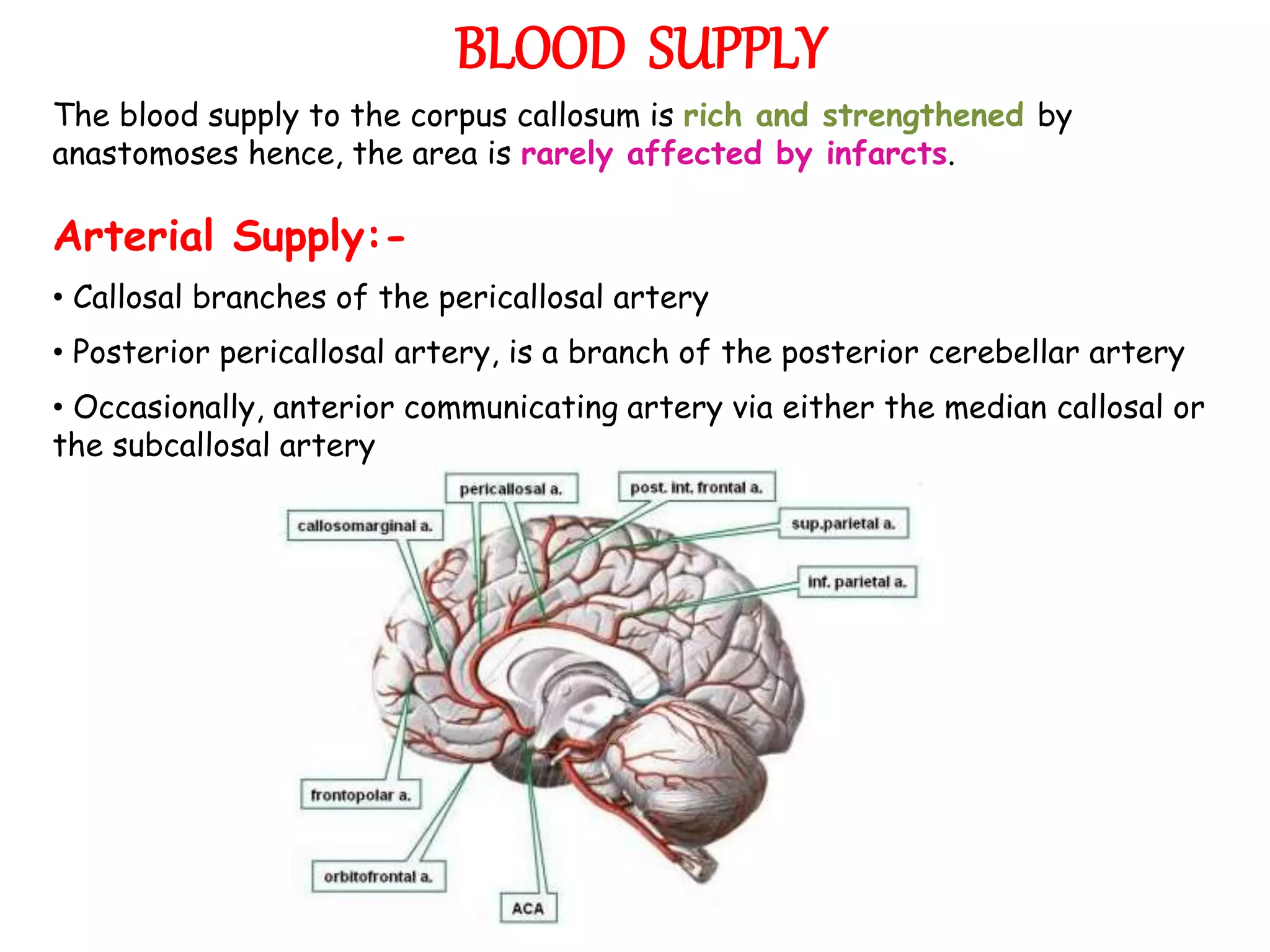 Corpus callosum | PPTX