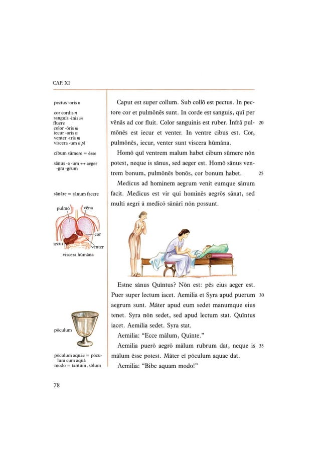 Corpus humanum | PDF