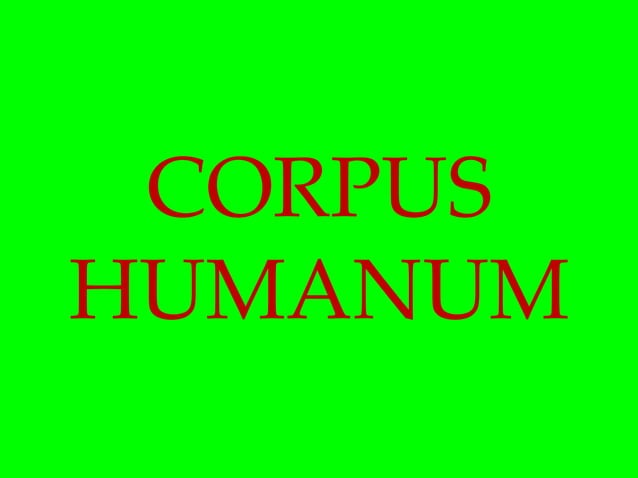 Corpus humanum | PPT