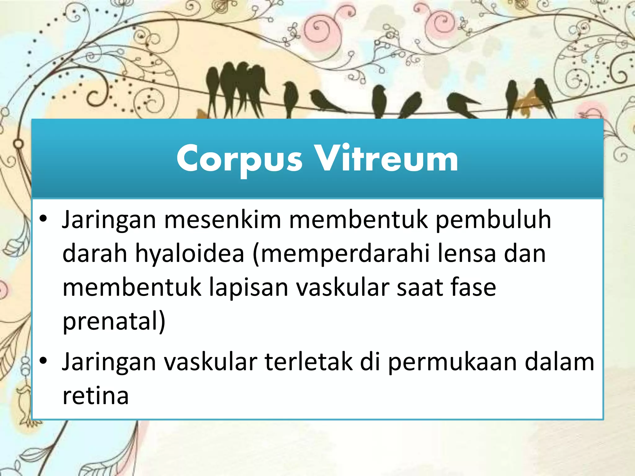 Corpus vitreum and optical nerve by syifadhila | PPTX