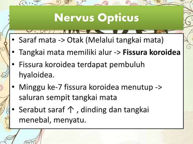 Corpus vitreum and optical nerve by syifadhila | PPTX