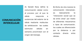 CORRECCIÓN_PRESENTACIÓN, SEÑALIZACIÓN CELULAR.pptx