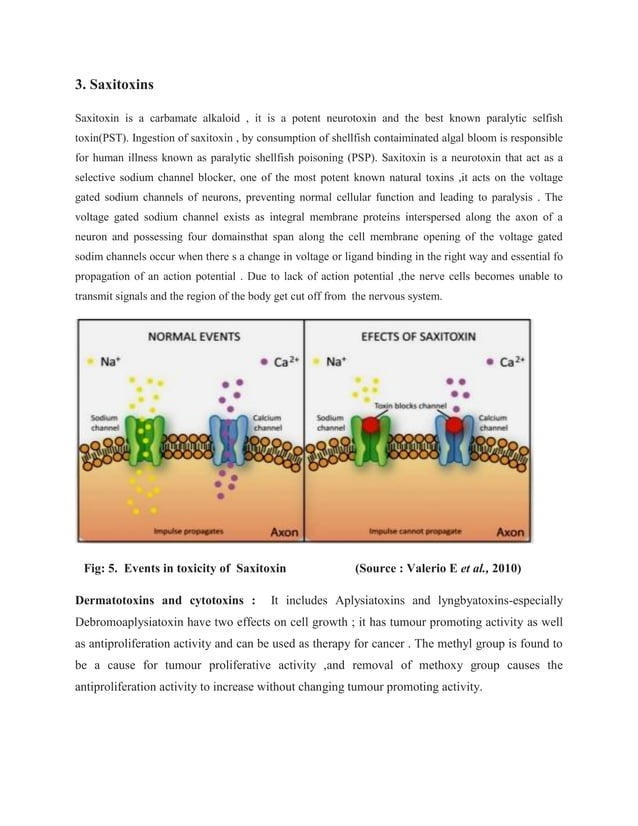 Bioactive Compounds from Microalgae | PDF | Chemistry | Science