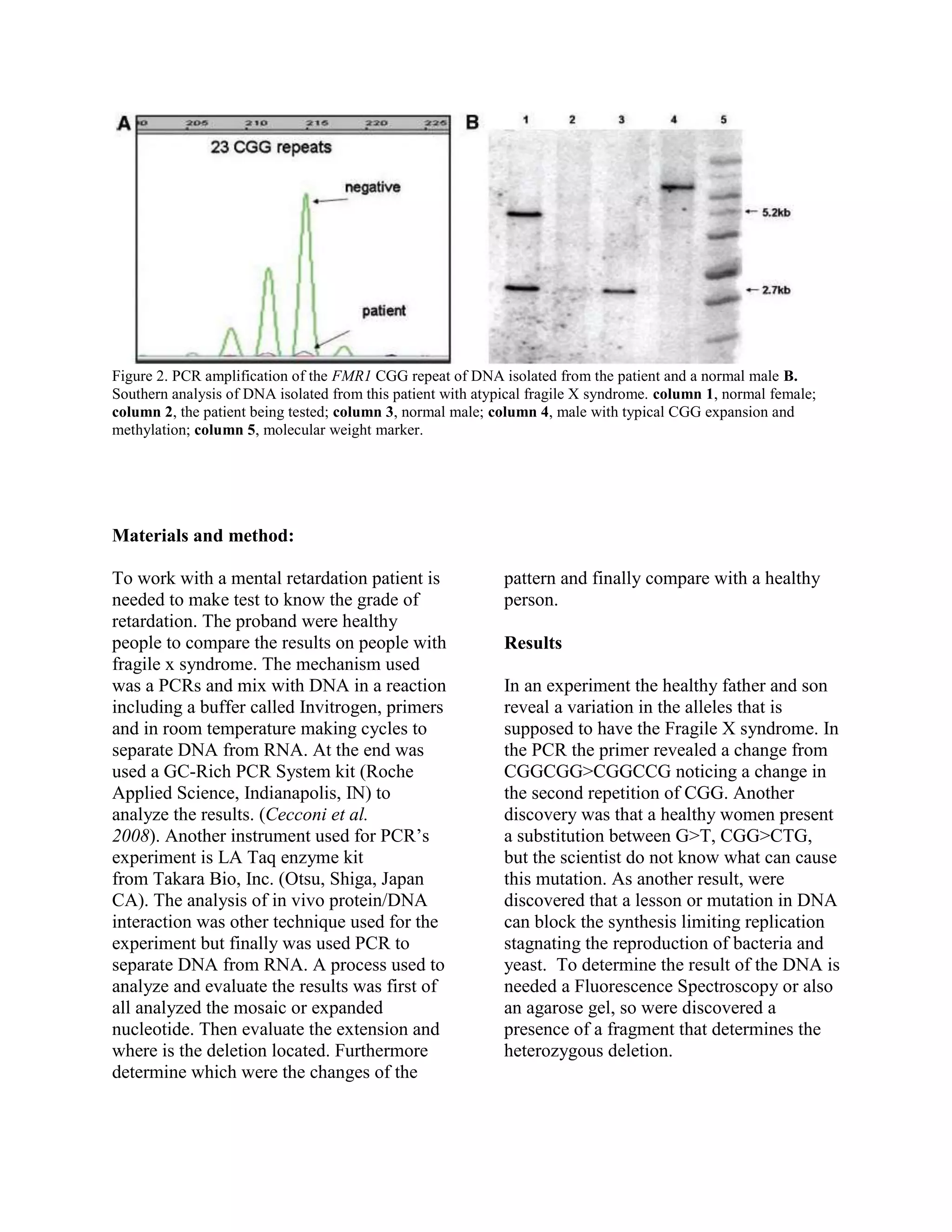 Corrected Review Paper | DOCX