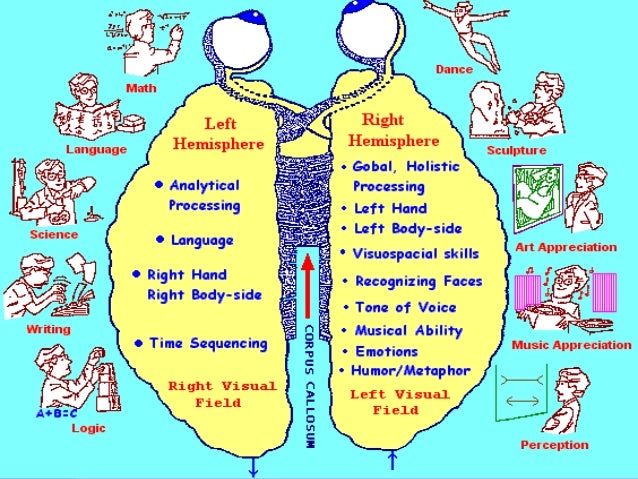 Physiology of speech