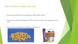 Correct handling of laboratory Rats ppt.pptx