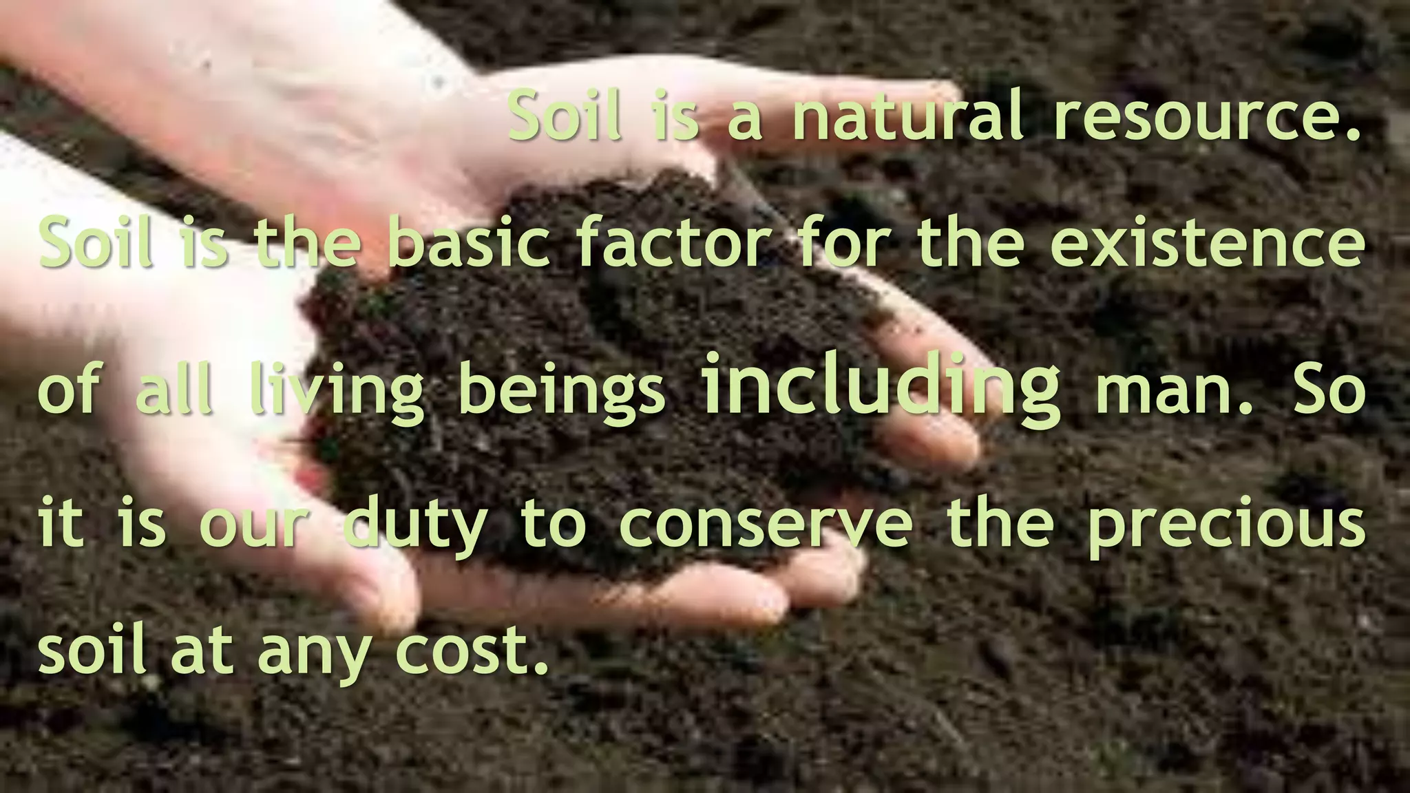 Soil formationppt | PPTX