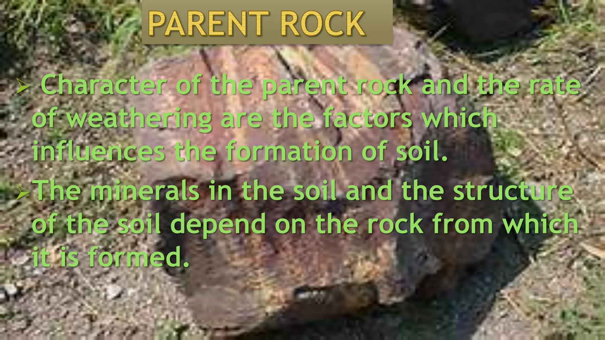 Soil formationppt | PPTX