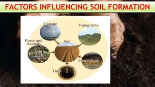 Soil formationppt | PPTX
