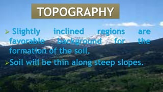 Soil formationppt | PPTX