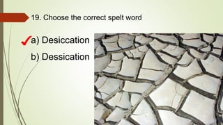 Correct spelling Words Quiz | PPTX | Standardized Testing | Educational ...