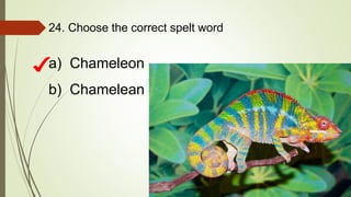 Correct spelling Words Quiz | PPTX | Standardized Testing | Educational ...