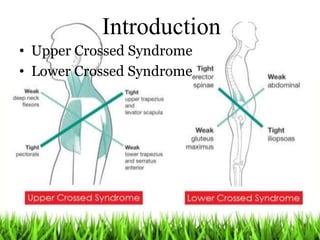 Correct your posture | PPTX