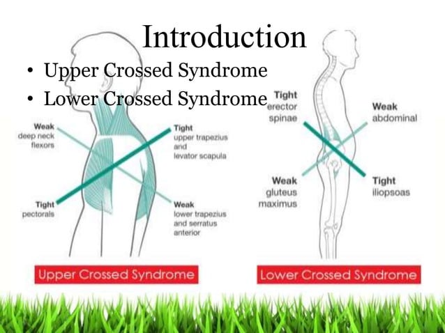 Correct your posture | PPTX
