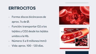 La sangre: composición y características | PPTX