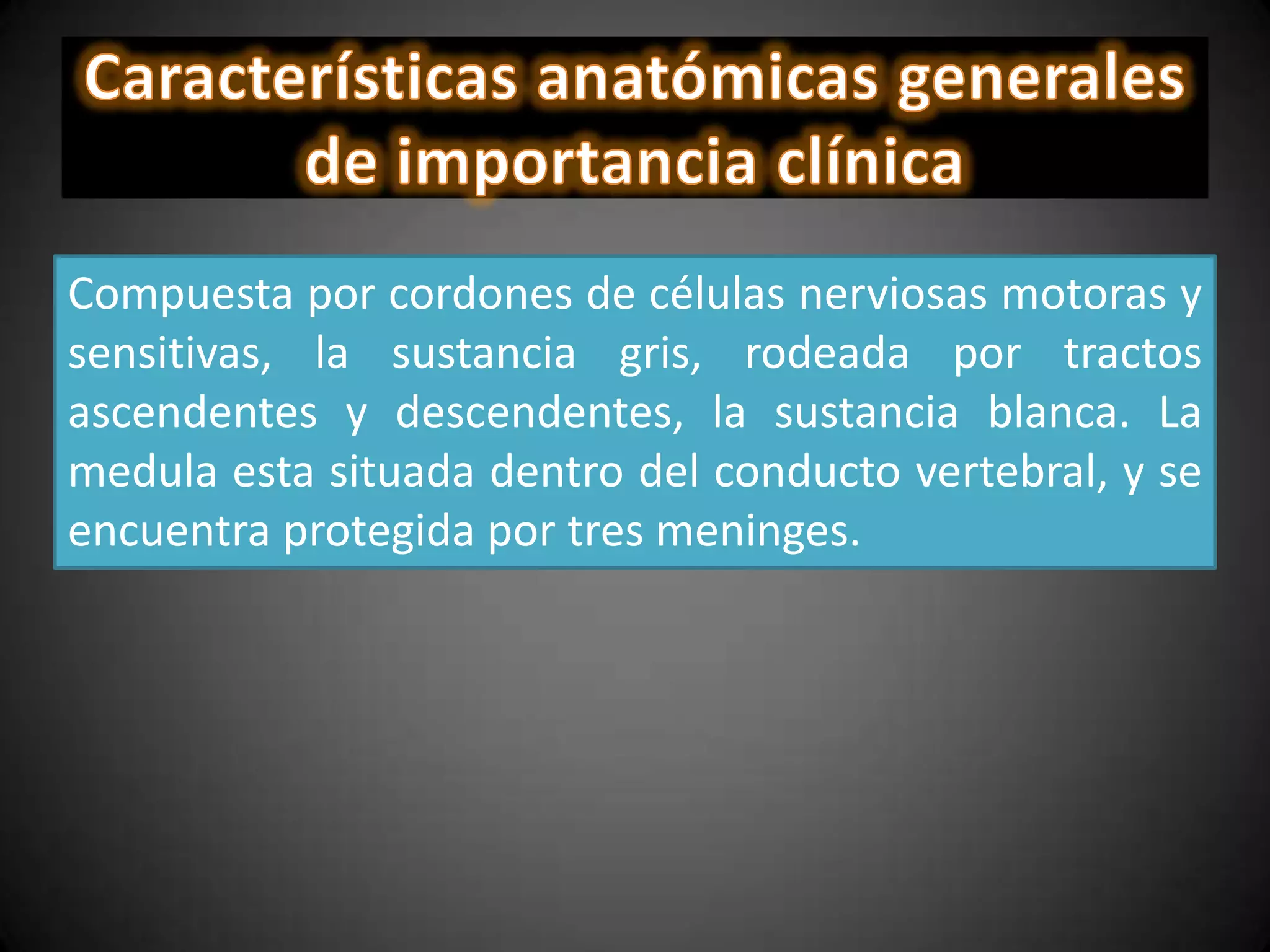 medula espinal, neuroanatomia casos clinicos | PPTX