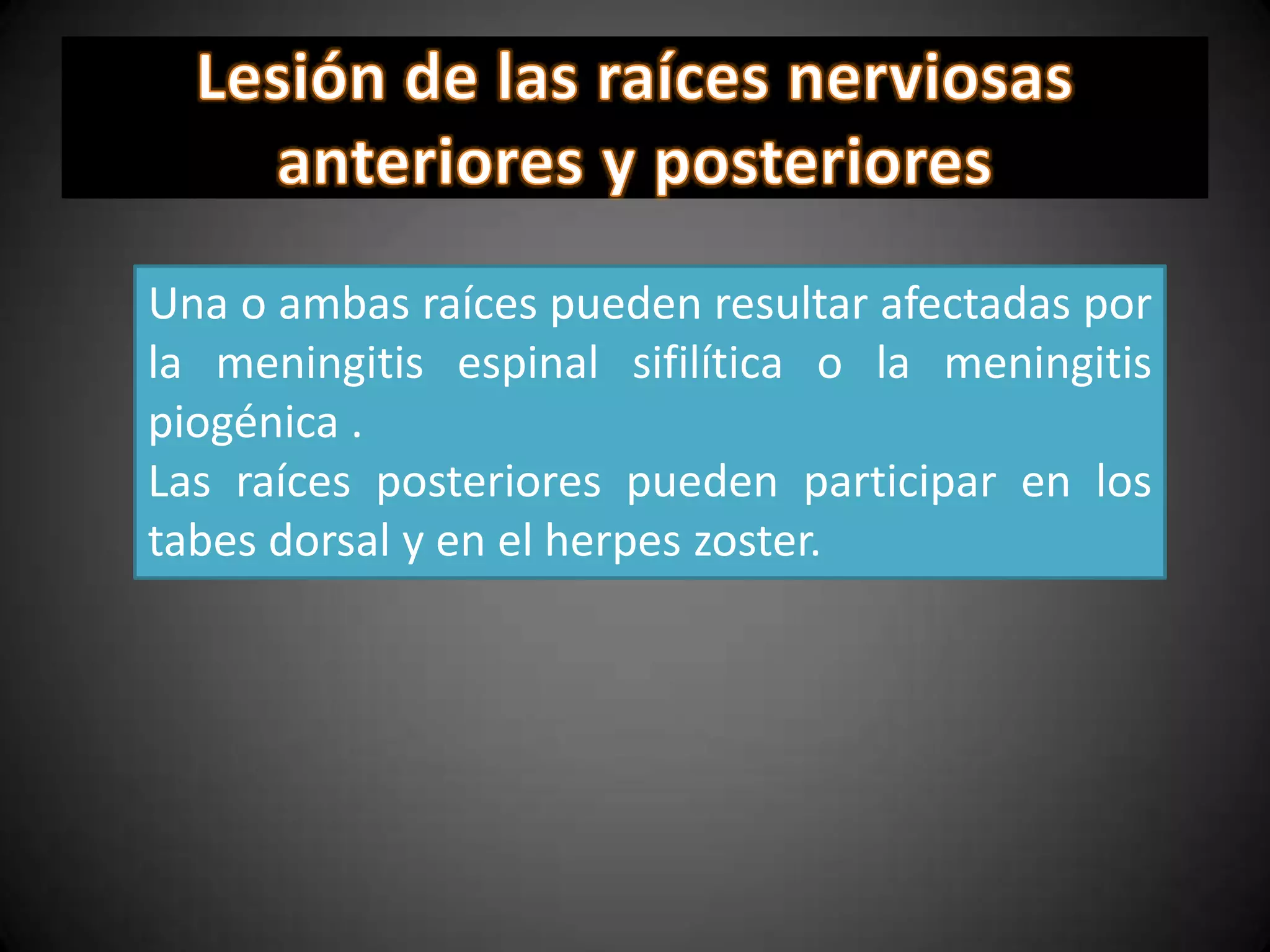 medula espinal, neuroanatomia casos clinicos | PPTX
