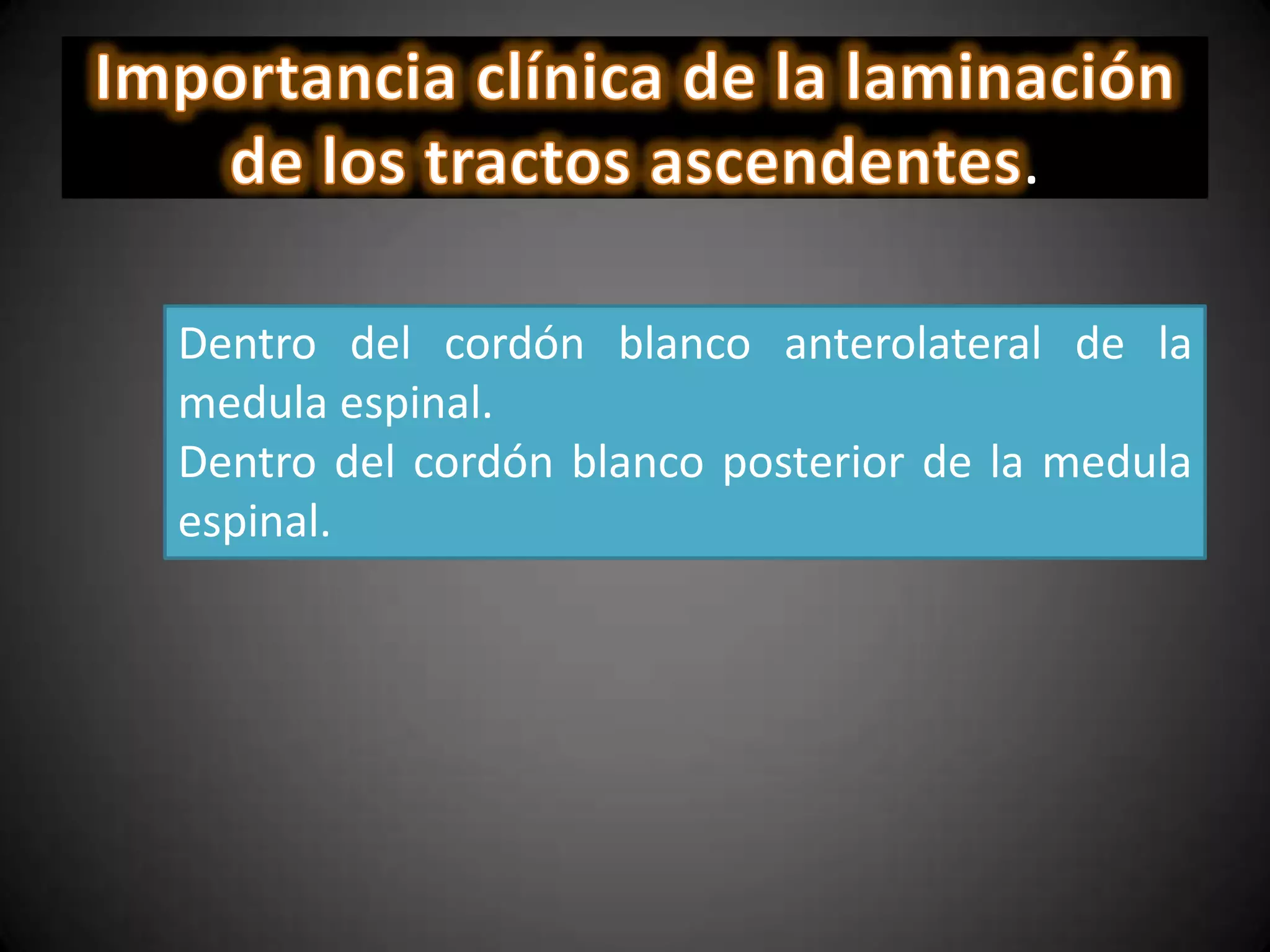 medula espinal, neuroanatomia casos clinicos | PPTX