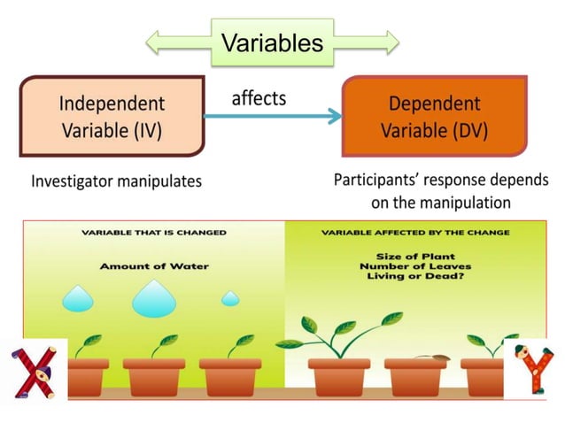 Correlation Biostatistics Ppt