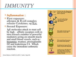 pathophysiology & immunity of asthma | PPT