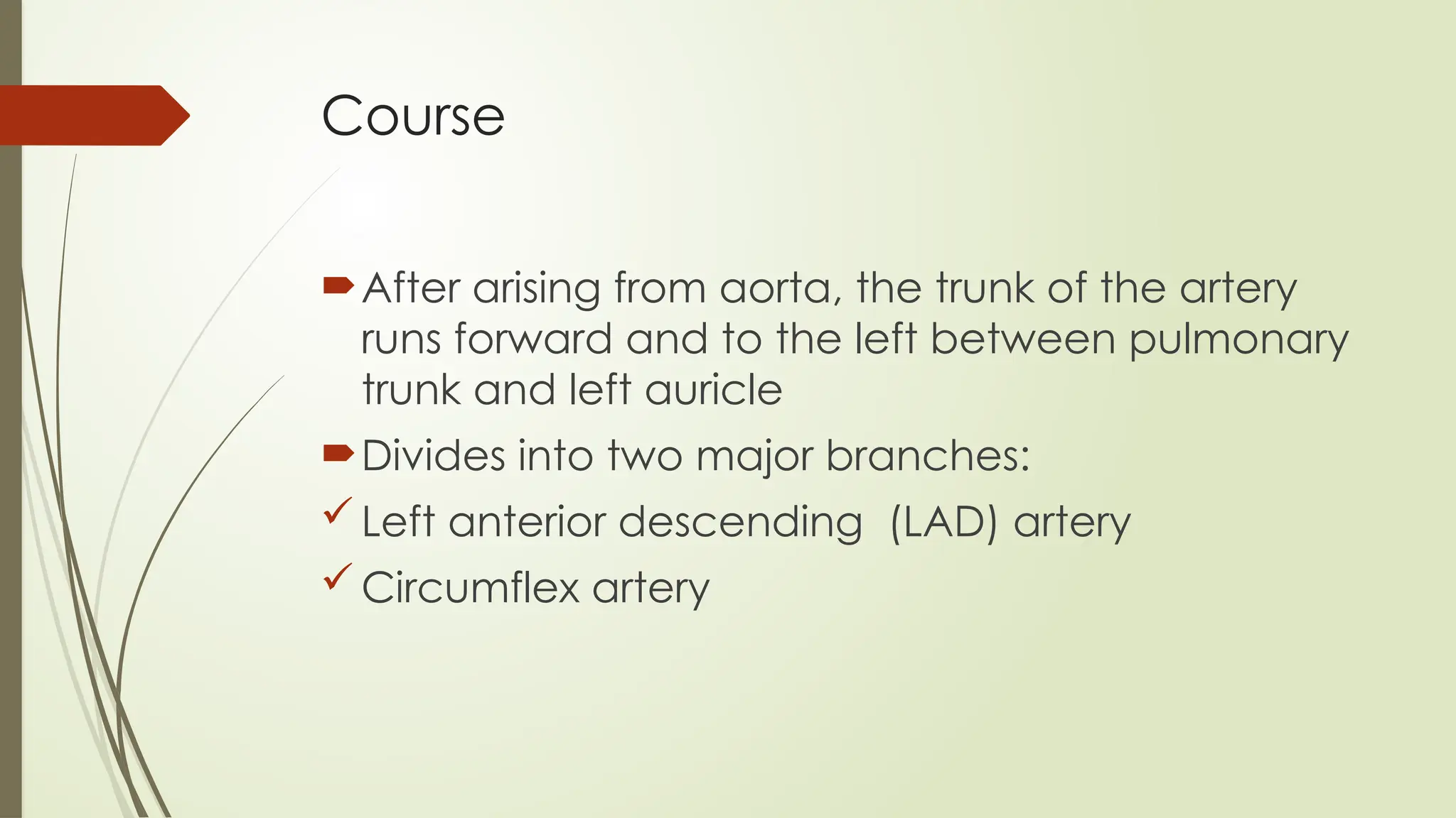 Coronary arteries - course, branches.pptx