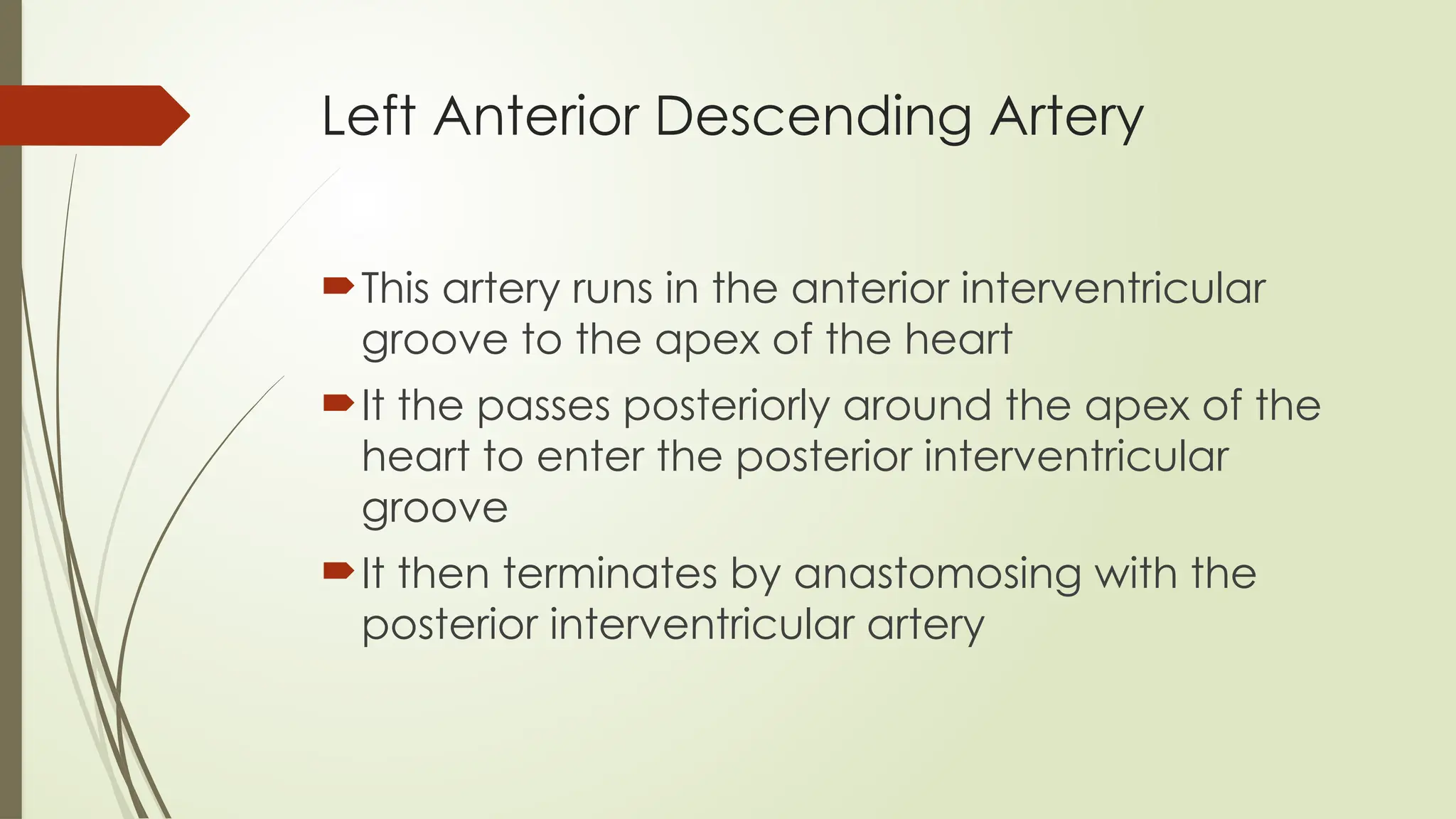Coronary arteries - course, branches.pptx