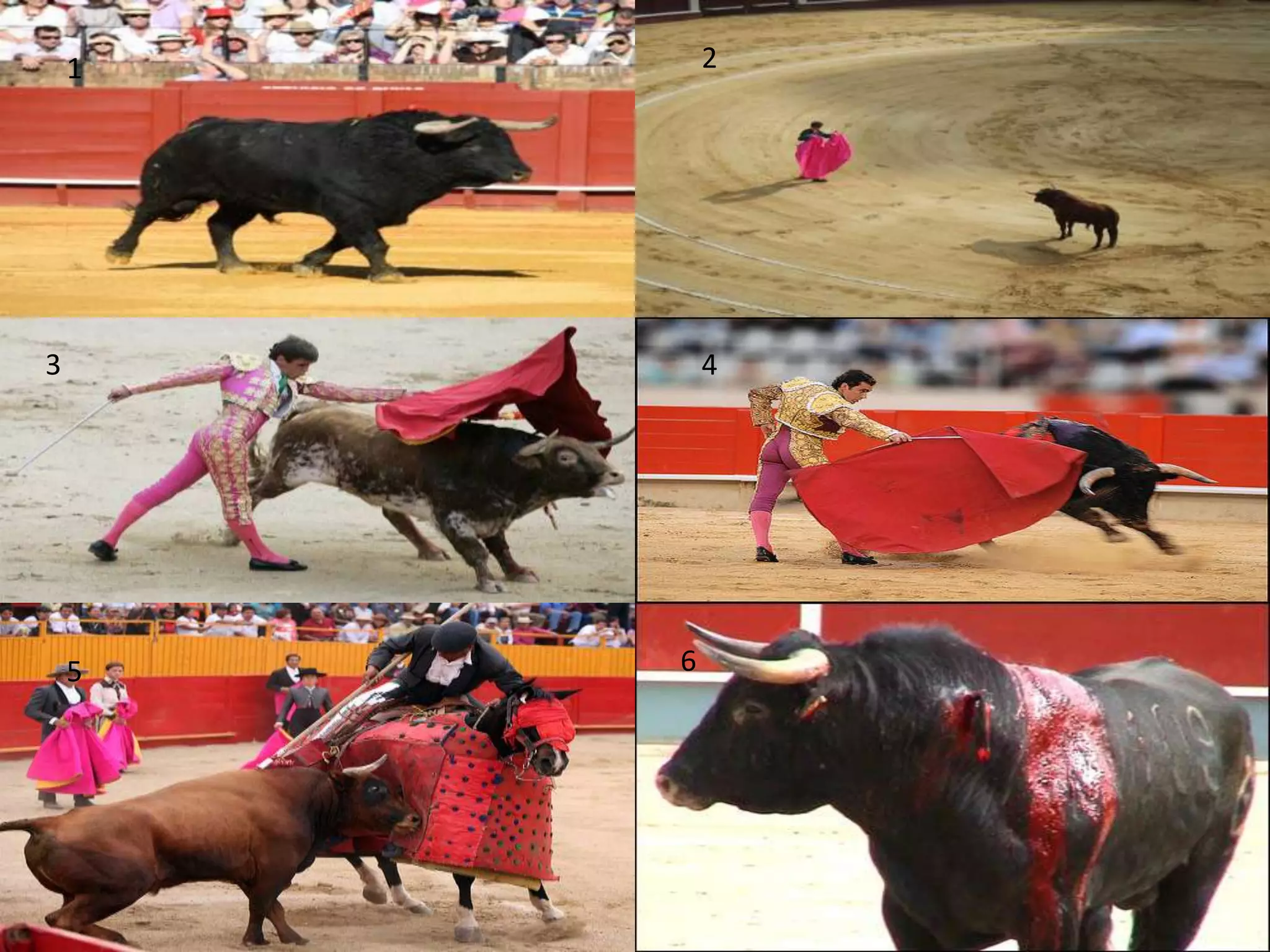 Corrida de toros | PPTX
