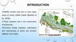 Wildlife Corridor and Its Importance | PPTX