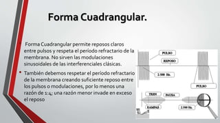 Corrientes Kotz o Rusas | PPTX