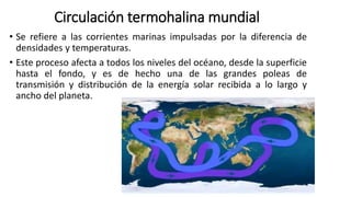 Corrientes marinas | PPTX