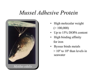 corrosion_inhibitorpreventionofcorrosion.ppt